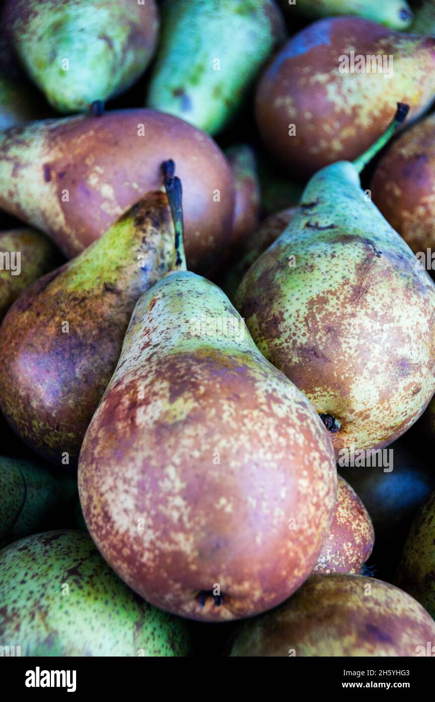 Pera dellemilia romanga hi-res stock photography and images - Alamy