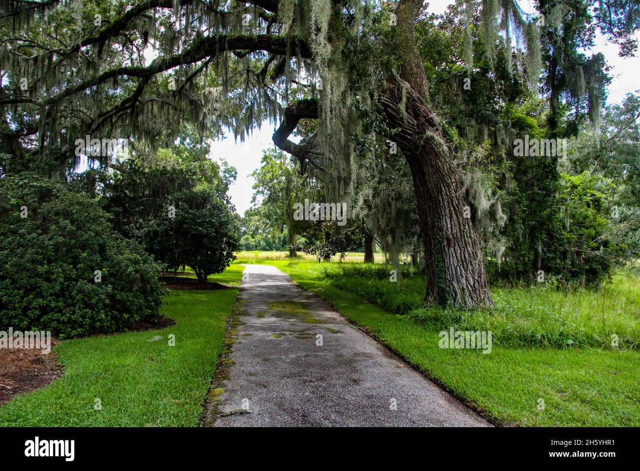Charles Pinckney National Historic Site in South Carolina Stock Photo ...