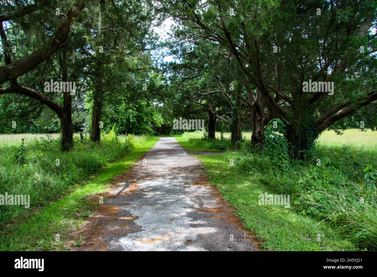 Charles Pinckney National Historic Site in South Carolina Stock Photo ...