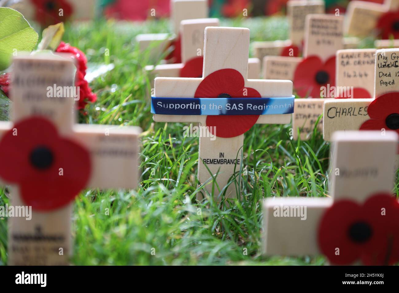 Peterborough, UK. 11th Nov, 2021. Remembrance crosses as Peterborough ...
