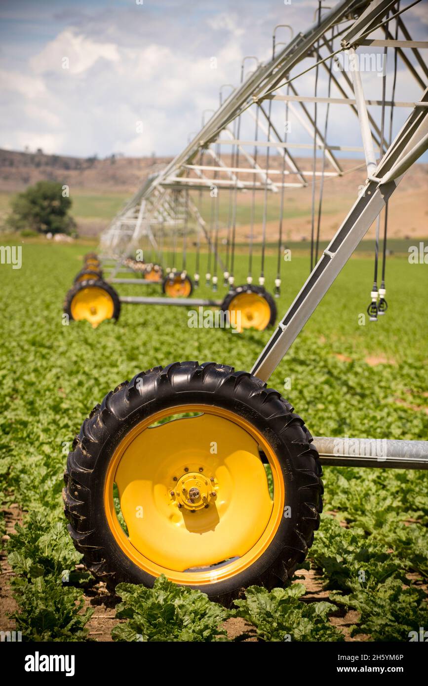 Irrigation pivot system on a farm in Carbon County, Montana. June 2017 ...