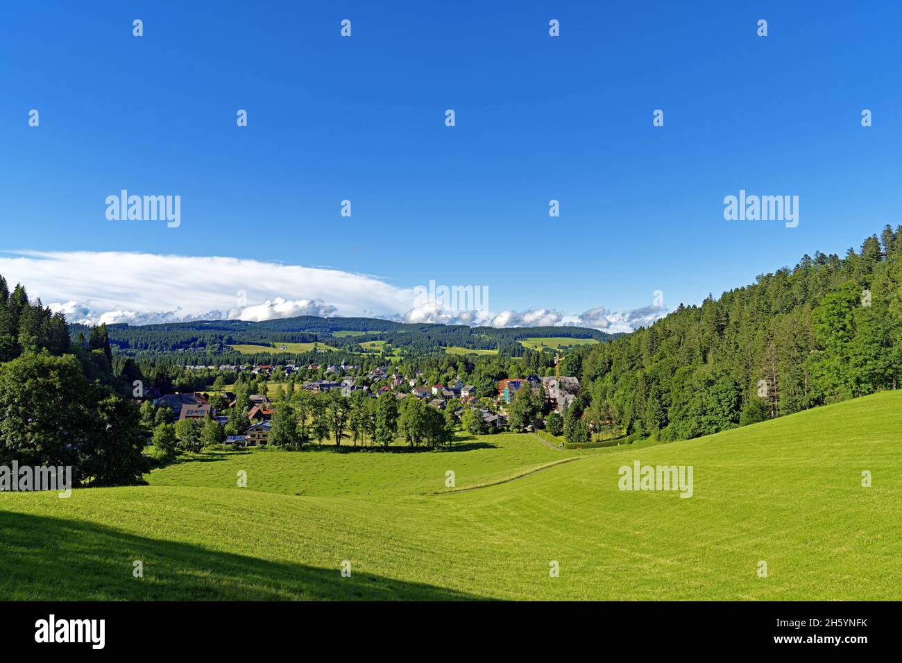 Europa hinterzarten hi-res stock photography and images - Alamy