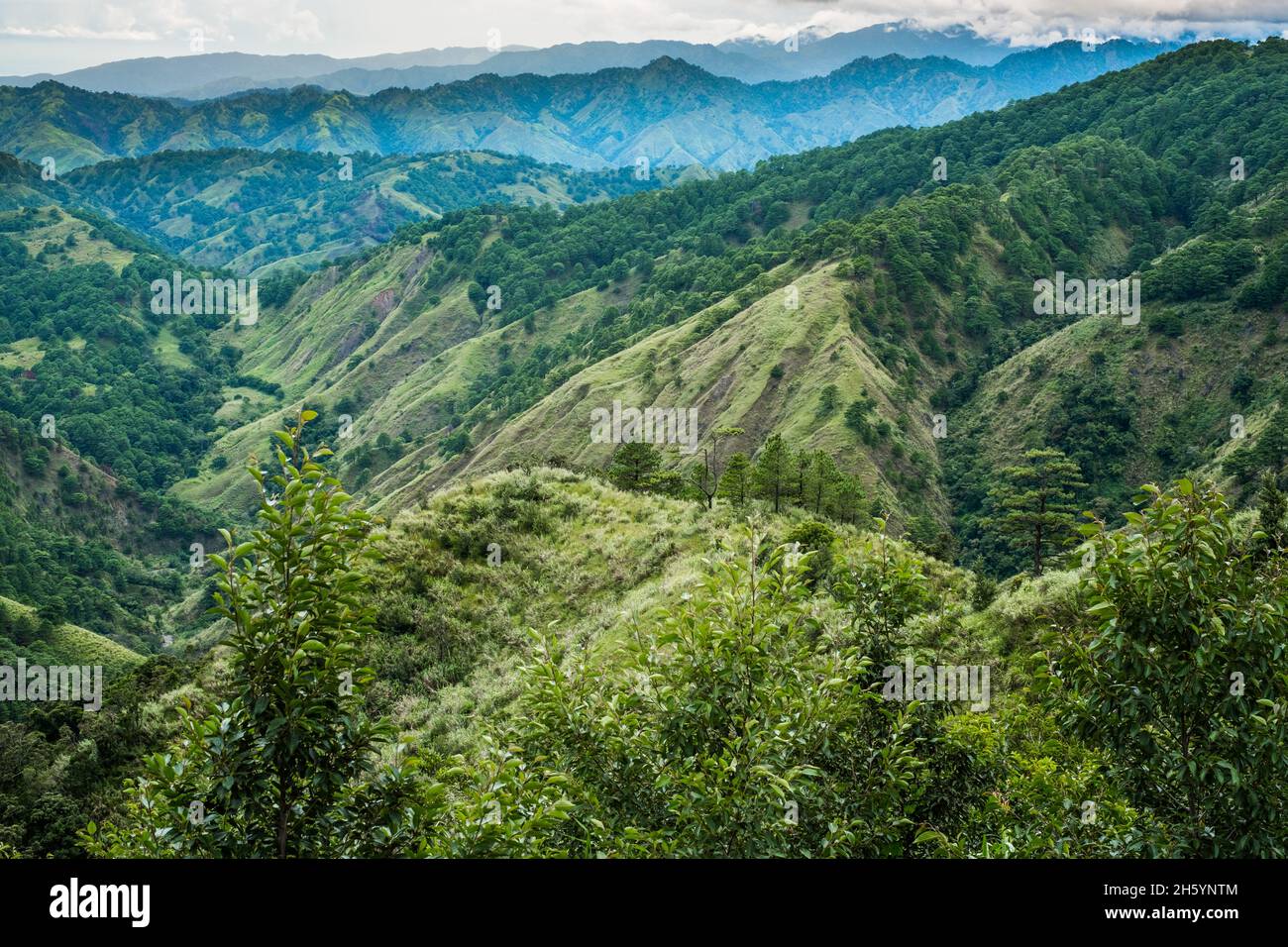 Malico philppines hi-res stock photography and images - Alamy