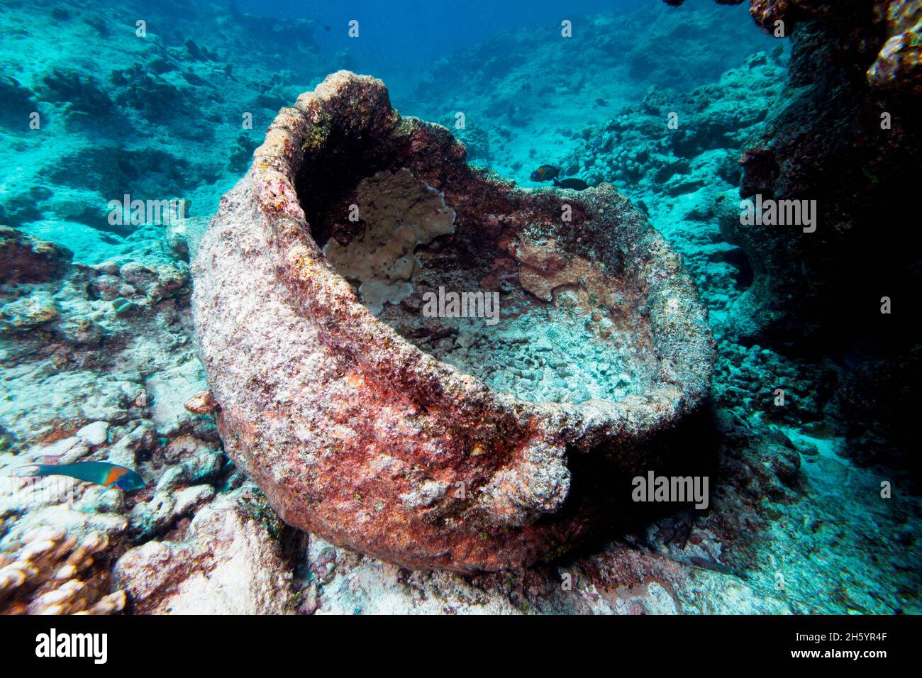 A try pot at the Two Brothers shipwreck site. Try pots were large cast ...