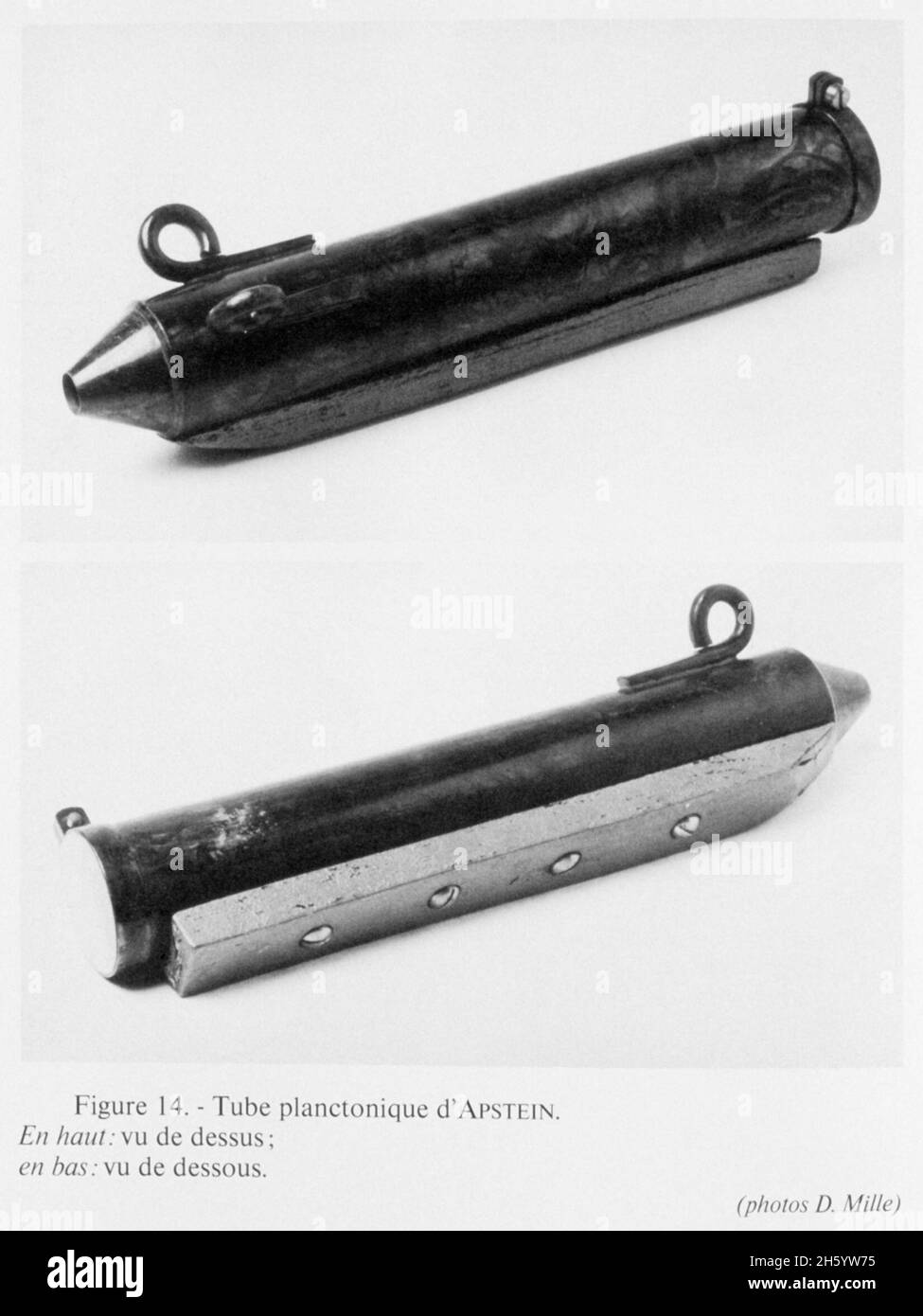 Apstein plankton tube hi-res stock photography and images - Alamy