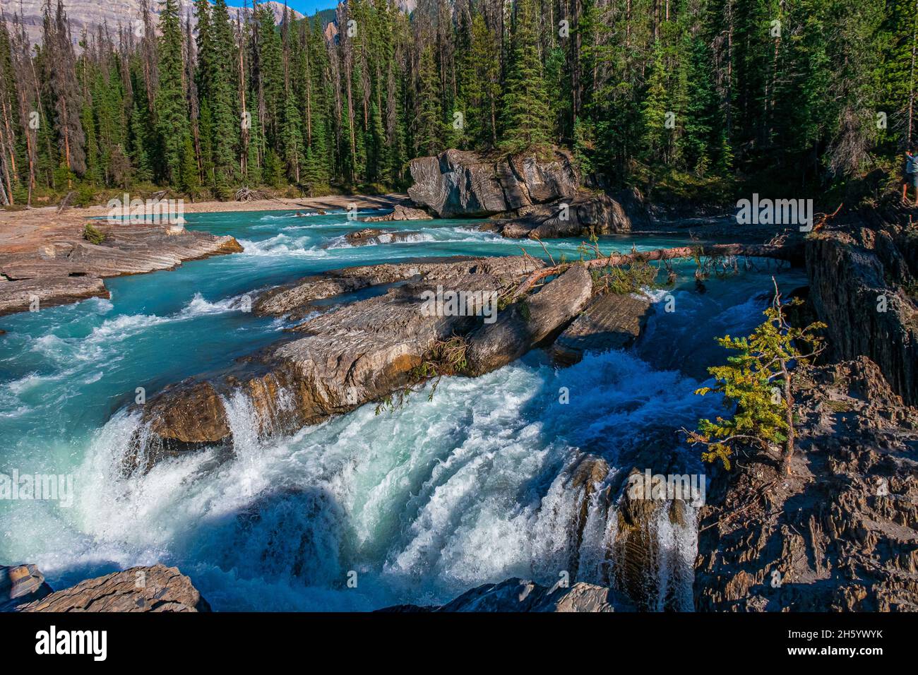 Natural bridge yoho national park hi-res stock photography and images ...
