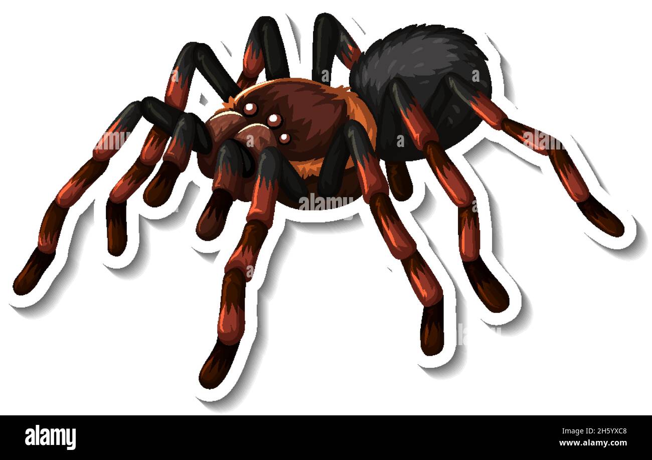 Wild spider cartoon sticker on white background illustration Stock ...