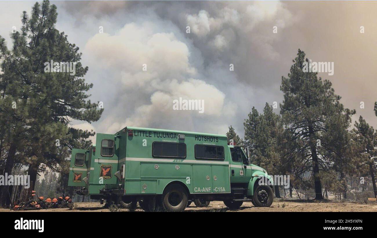 Archival forest service hi-res stock photography and images - Alamy