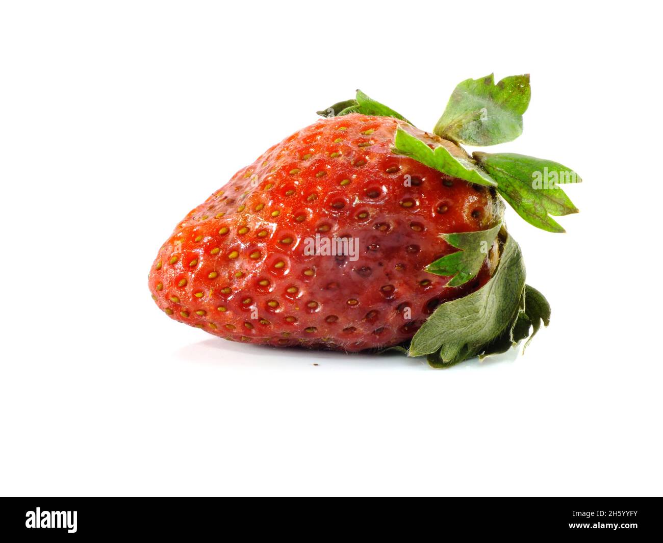 rotten strawberries on white background Stock Photo - Alamy