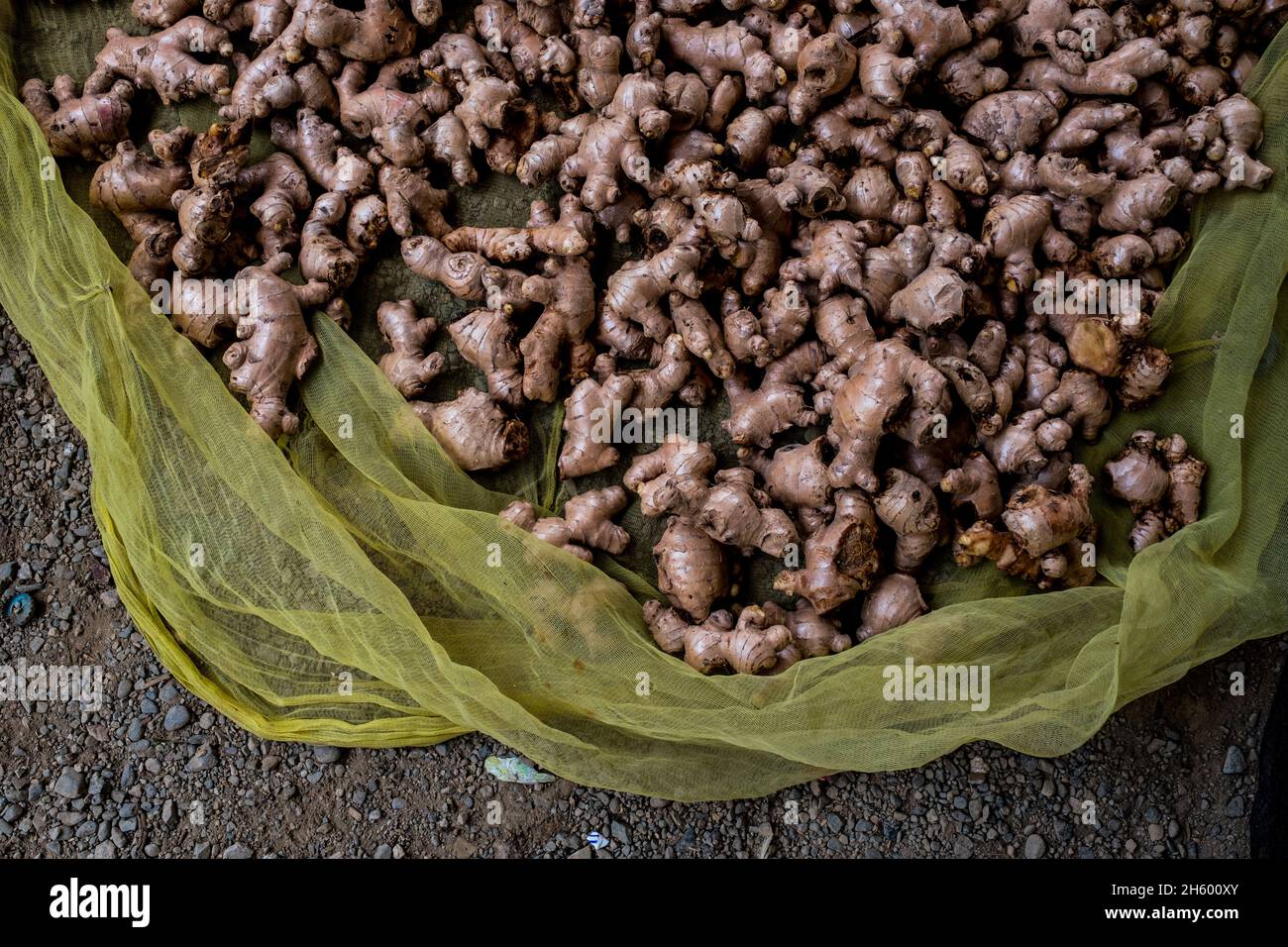 July 2017. Ginger, here drying in the street, is a common local cash ...