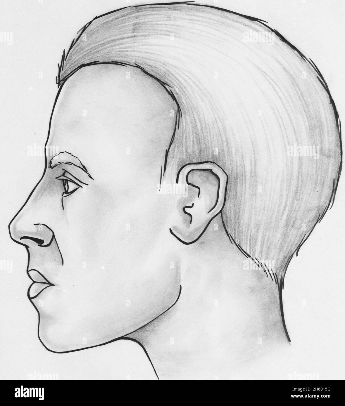 Forensic sketch of an unidentified murder victim discovered in 1977 ...