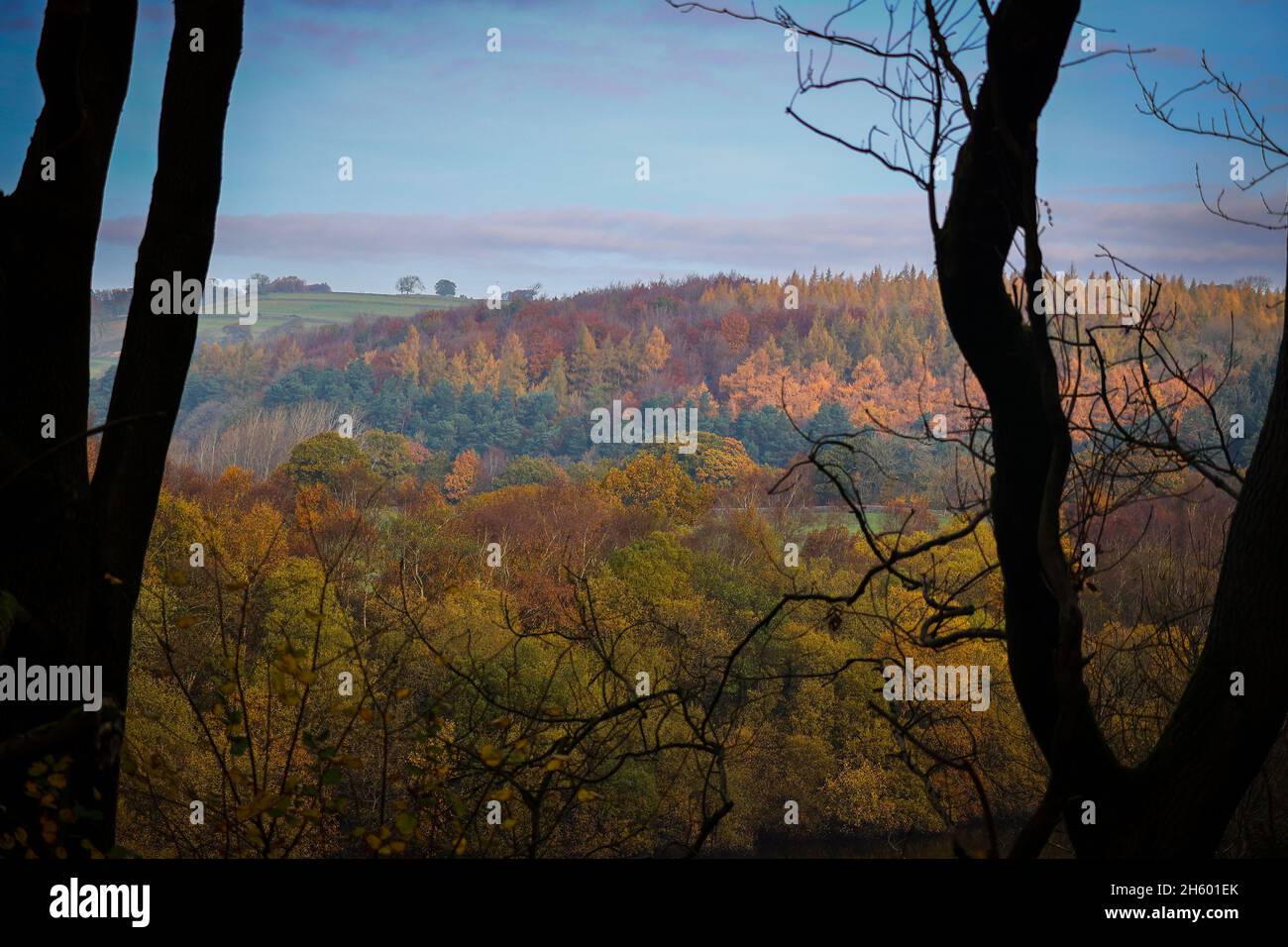 Fall foliage colors at Swinsty and Fewston Reservior in North Yorkshire ...