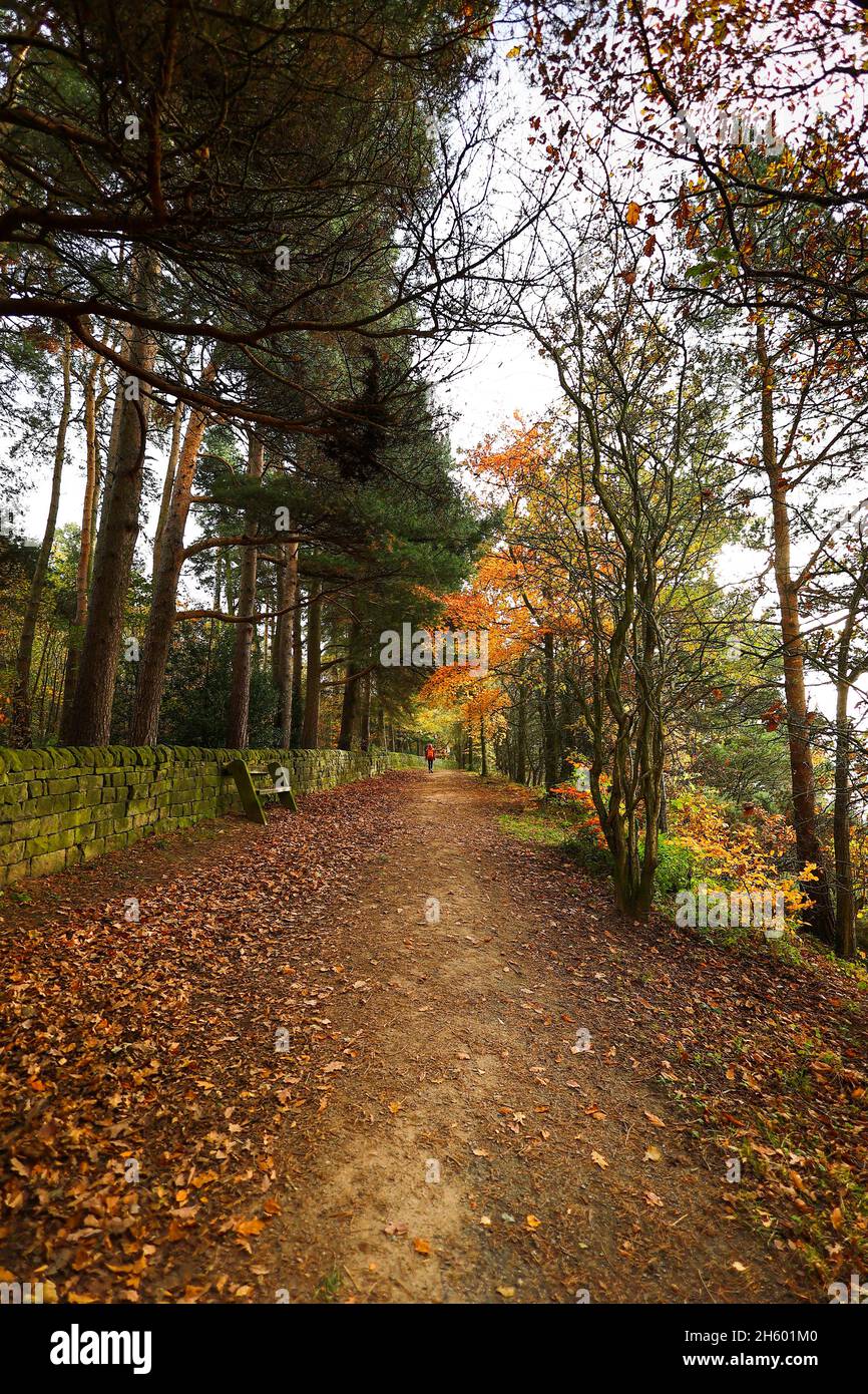 Fall foliage colors at Swinsty and Fewston Reservior in North Yorkshire ...