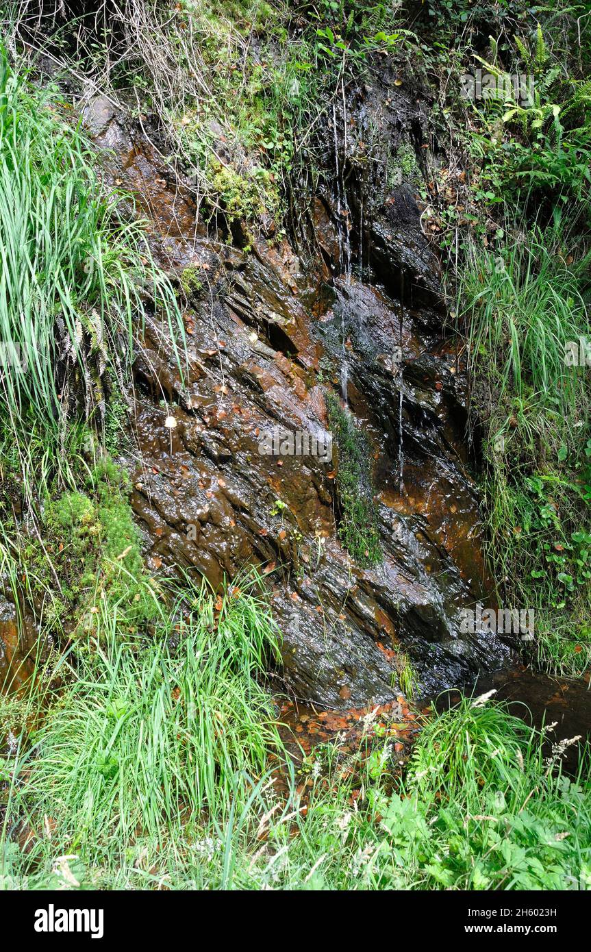 spring flowing along a rock Stock Photo - Alamy