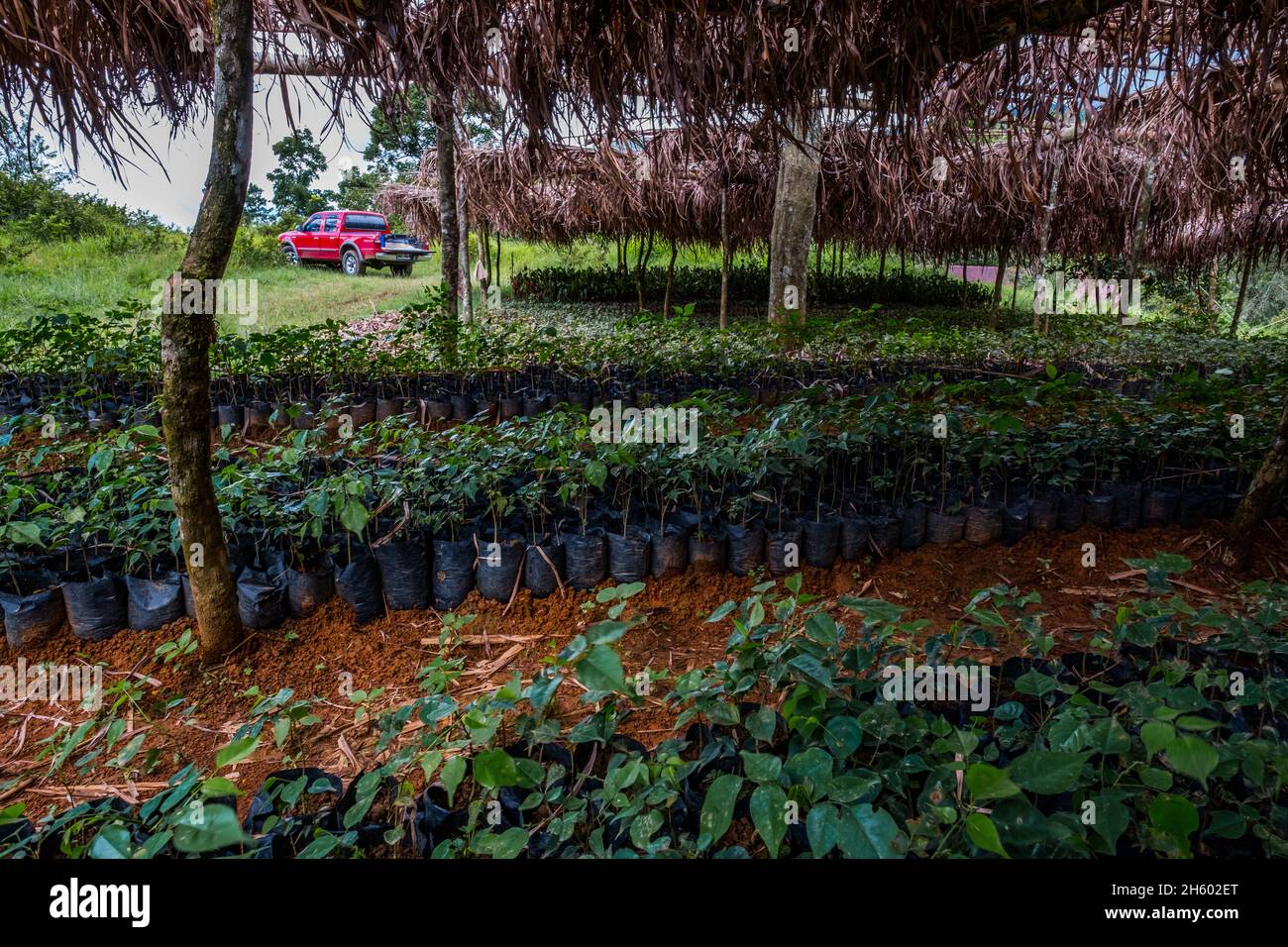 Kalahan hi-res stock photography and images - Alamy