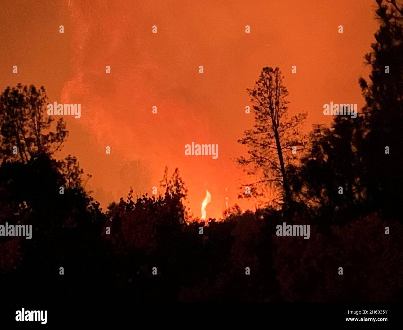 Bear Fire fire activity on Highway 162 near the Bidwell Bar Bridge ca ...