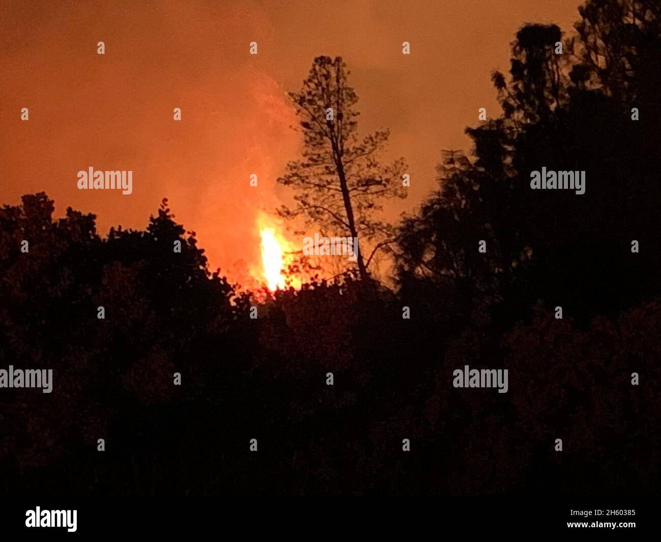 Bear Fire fire activity on Highway 162 near the Bidwell Bar Bridge ca ...