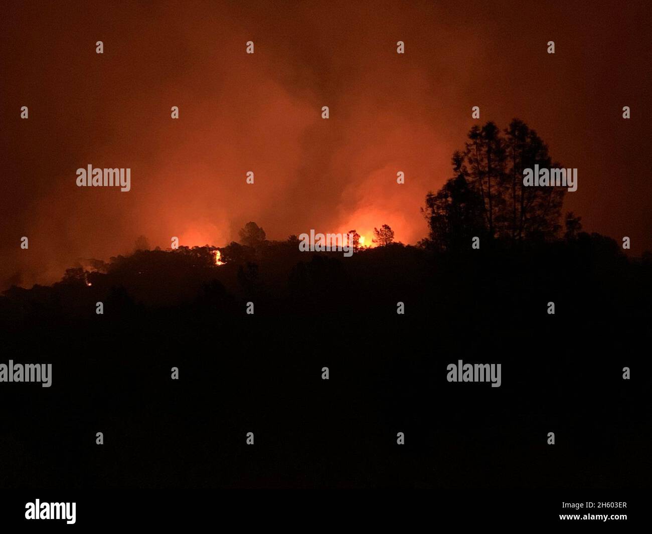 Bear Fire fire activity on Highway 162 near the Bidwell Bar Bridge ca ...