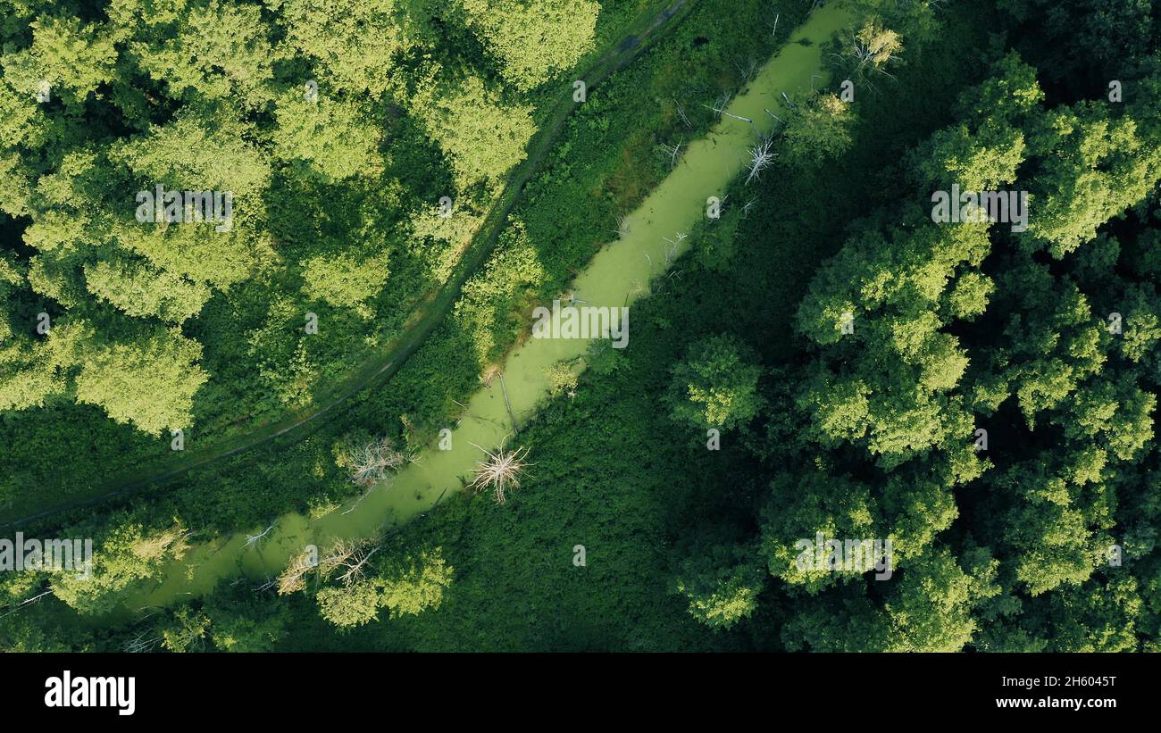 Aerial View Of Green Forest Landscape. Top View From High Attitude In ...