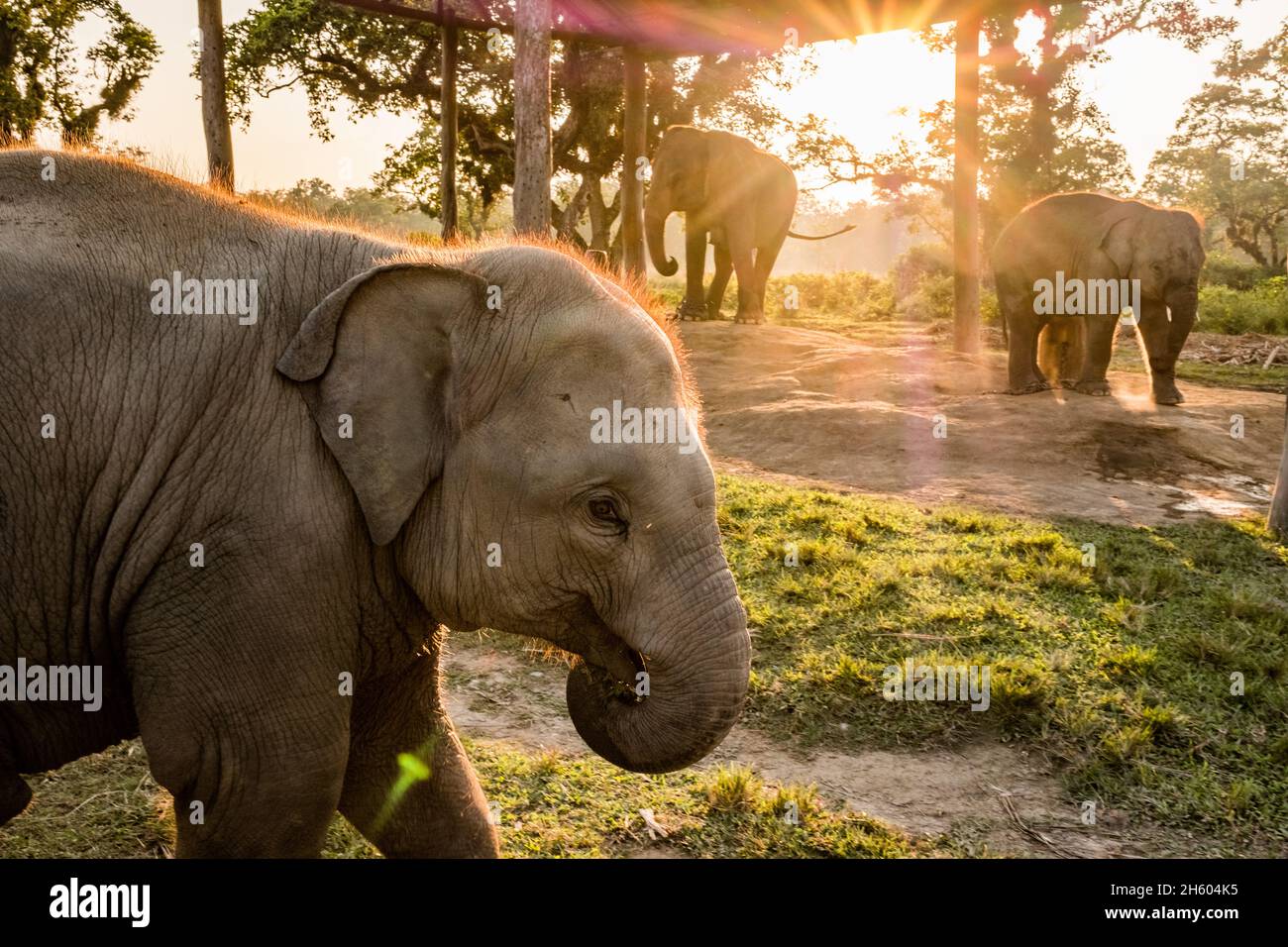 November 2017. Following the nature tour by canoe, tourists can visit ...