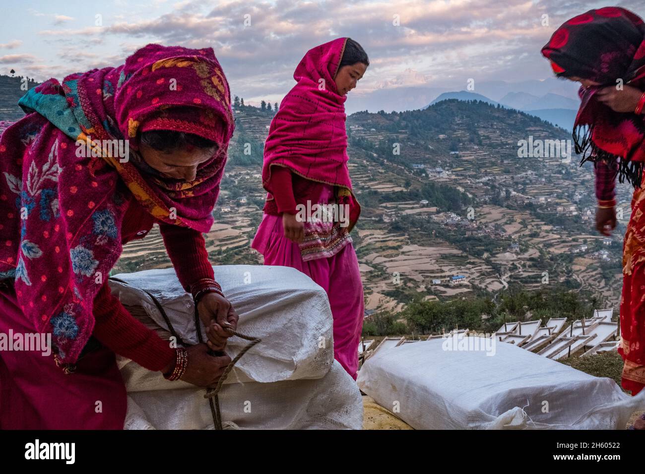 Lokta bark paper hi-res stock photography and images - Alamy