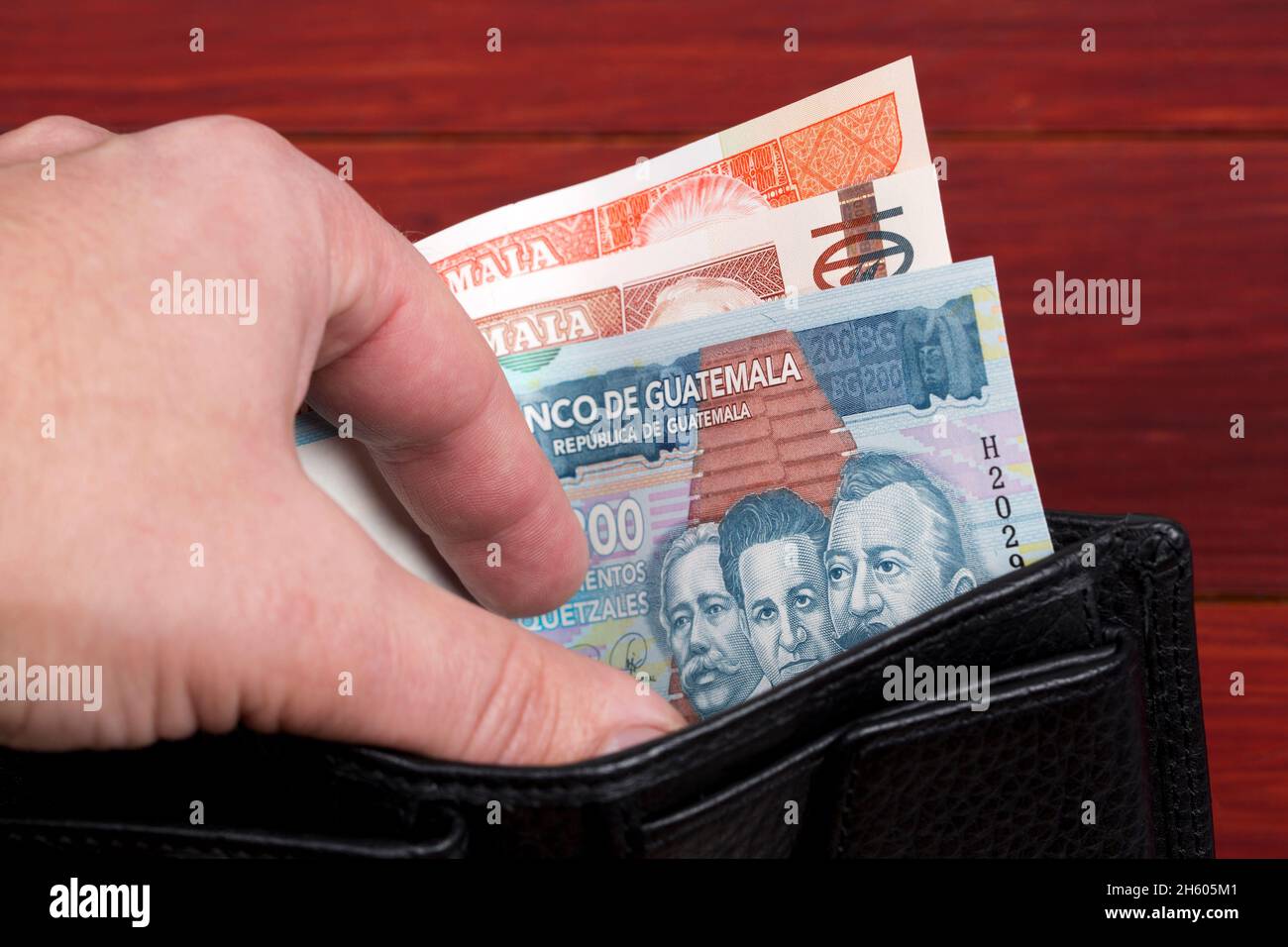 Guatemalan money - quetzal in the black wallet Stock Photo - Alamy