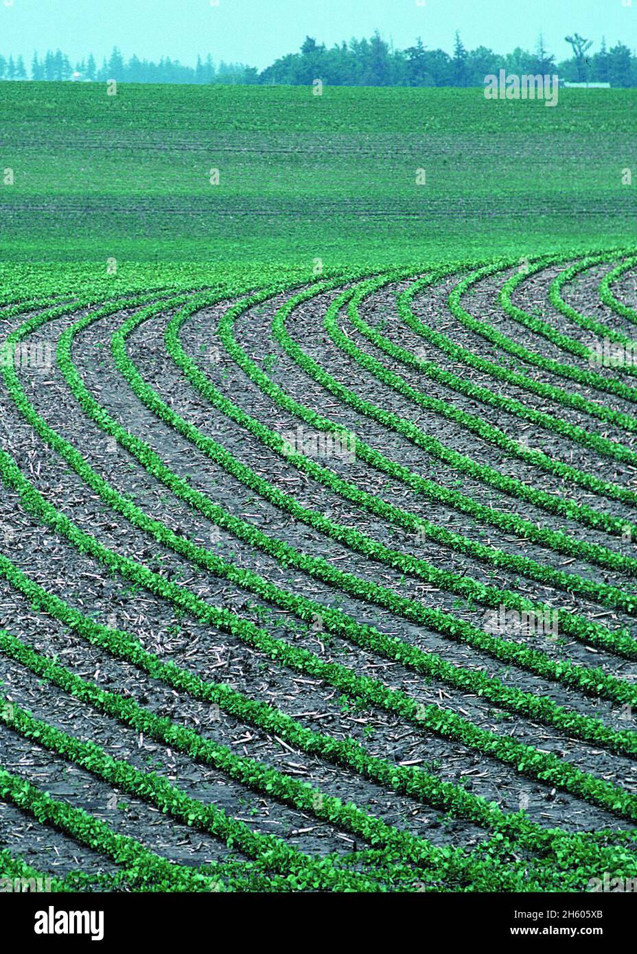 Contour farming in northeast Iowa ca. 2011 or earlier Stock Photo - Alamy