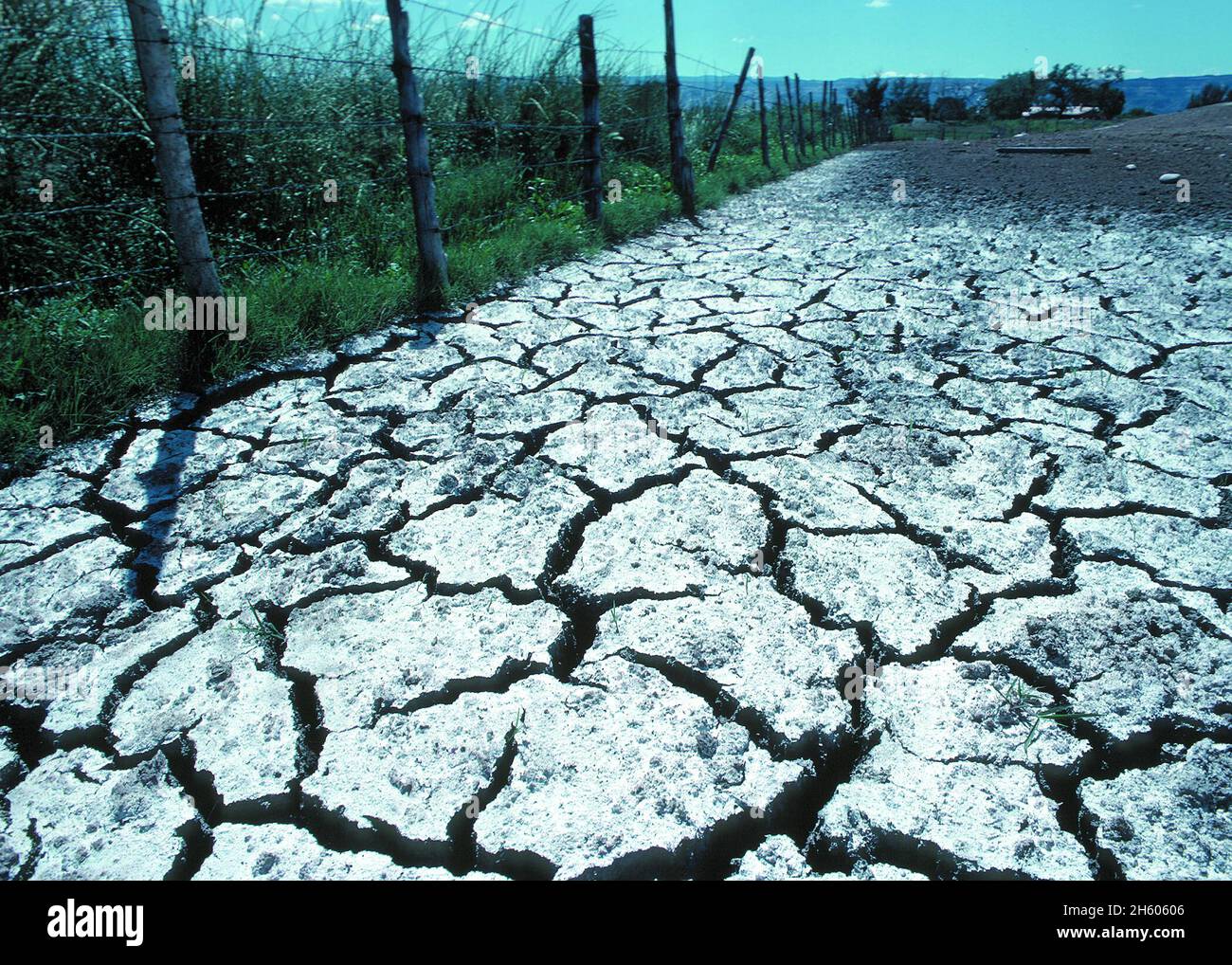 Percolating hi-res stock photography and images - Alamy