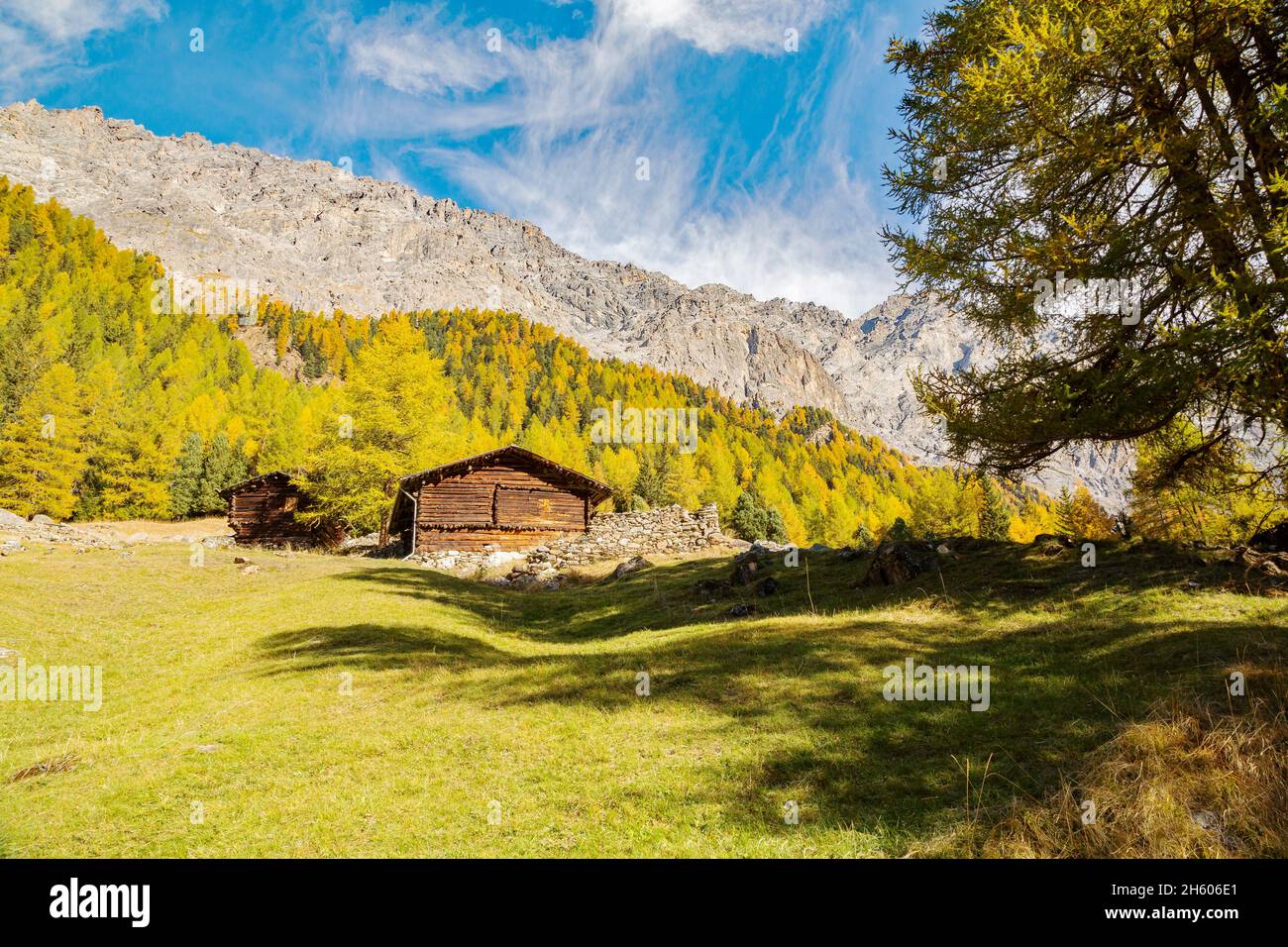 Val Zebru High Resolution Stock Photography and Images - Alamy