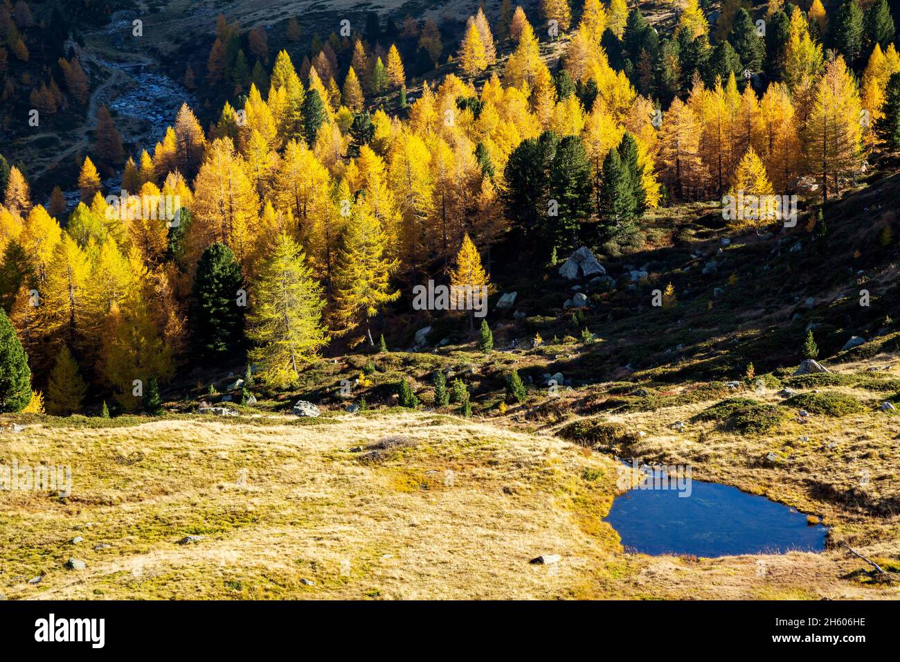 Aerial view fall foliage hi-res stock photography and images - Alamy