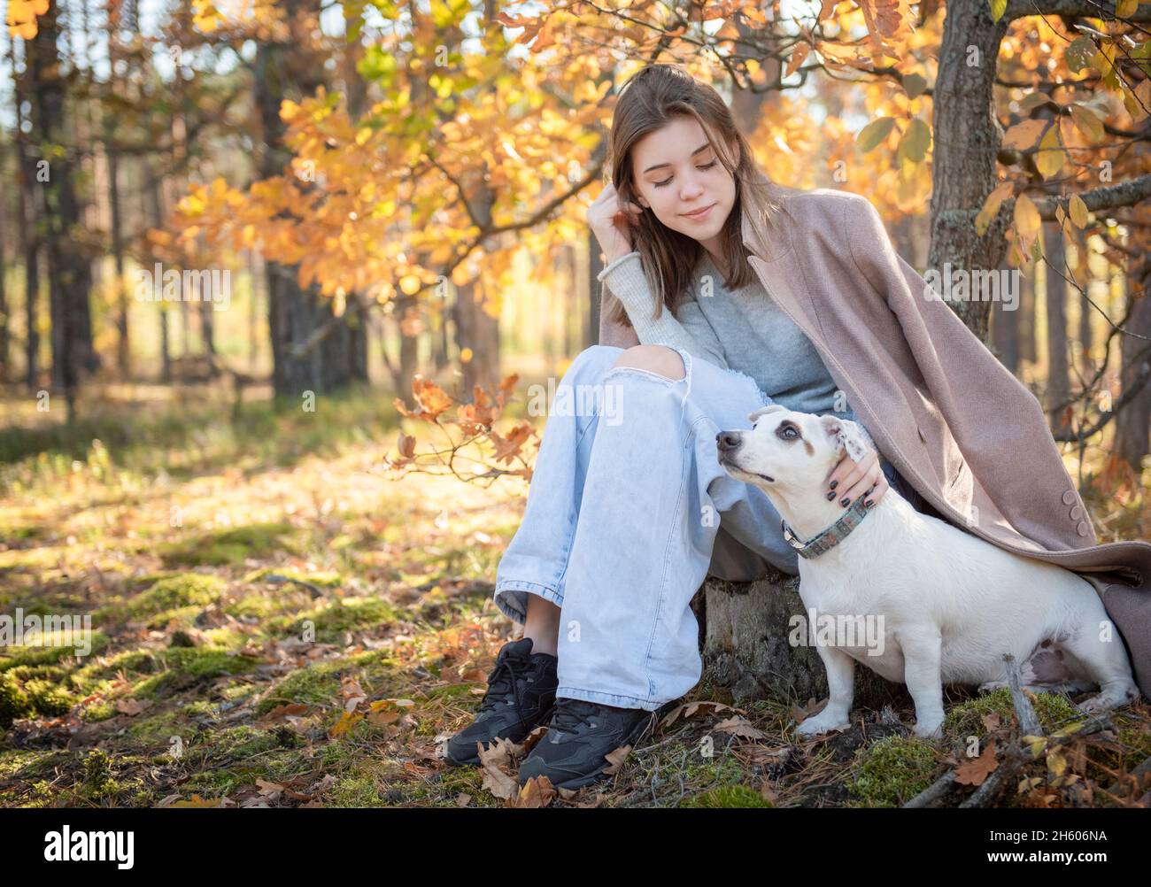 Beautiful Young Girl With Her Dog In The Forest. Autumn forest Stock ...