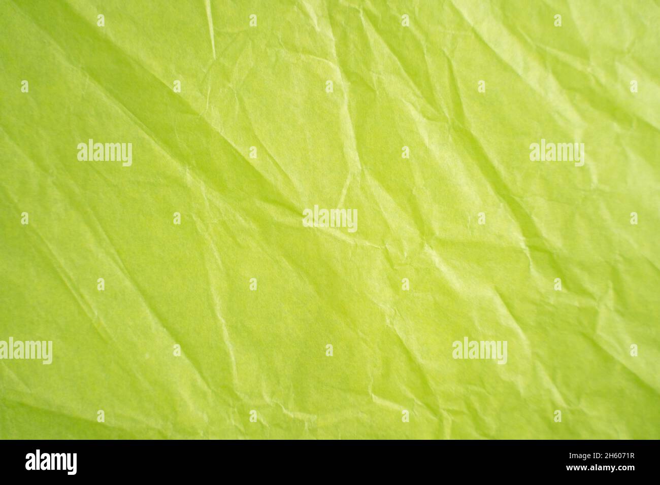 an empty wrinkled lime green tissue paper textured background Stock ...