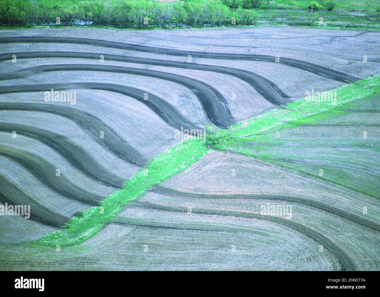 Contour Farming And Terracing