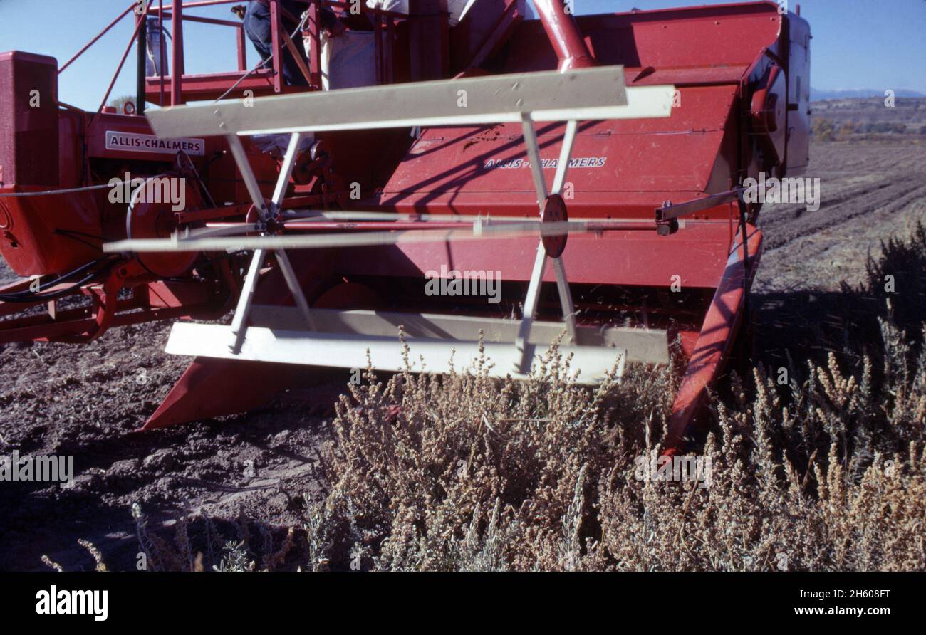 Farmer using a Allis Chalmers combine on his field, October 18, 1967 ...