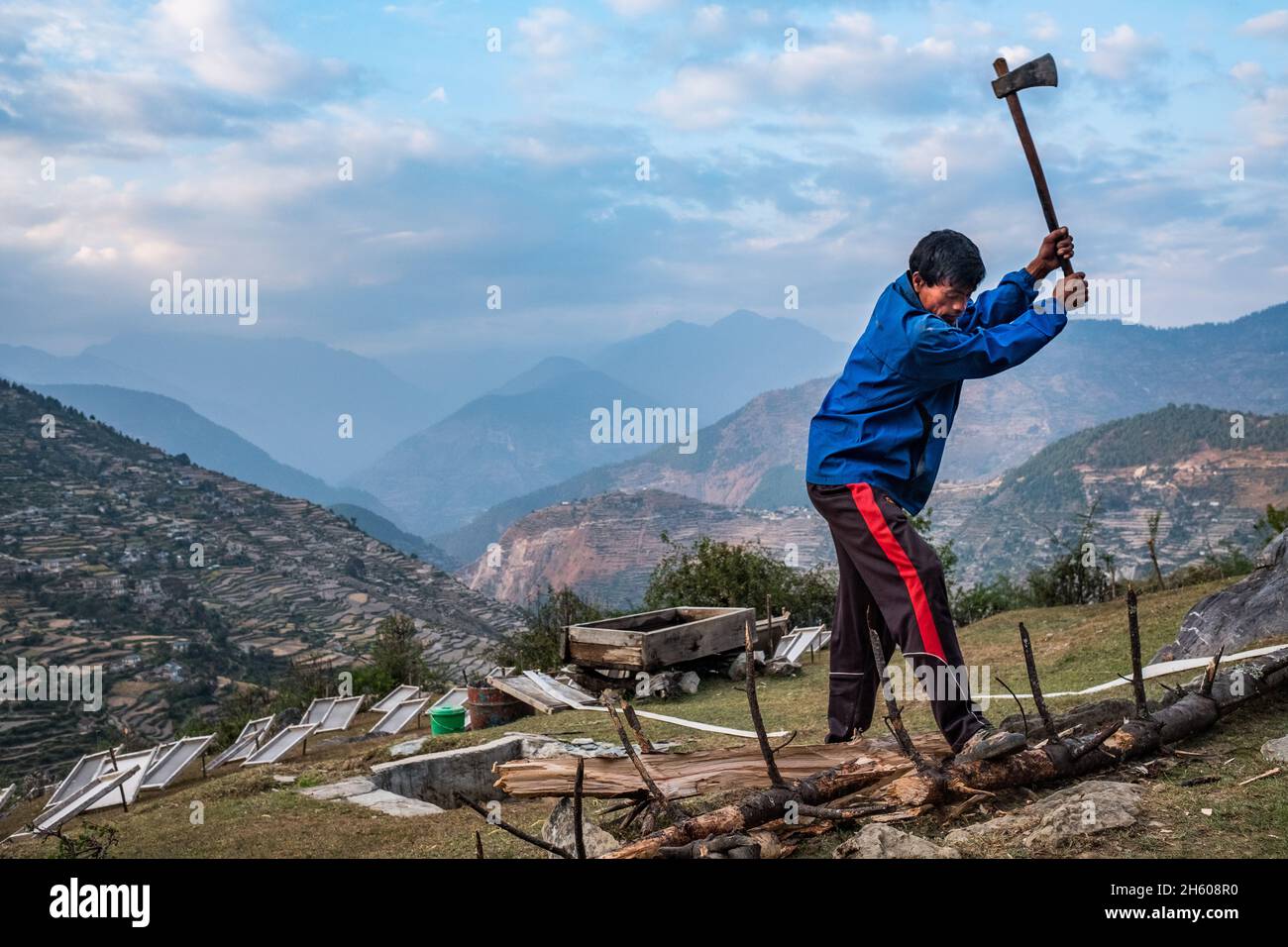 Collecting wood pulp hi-res stock photography and images - Alamy