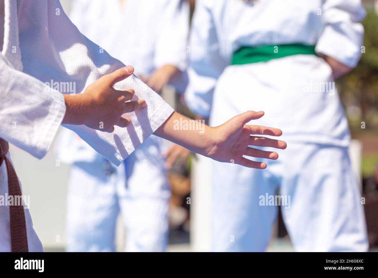 Karate pose at class or training Stock Photo - Alamy