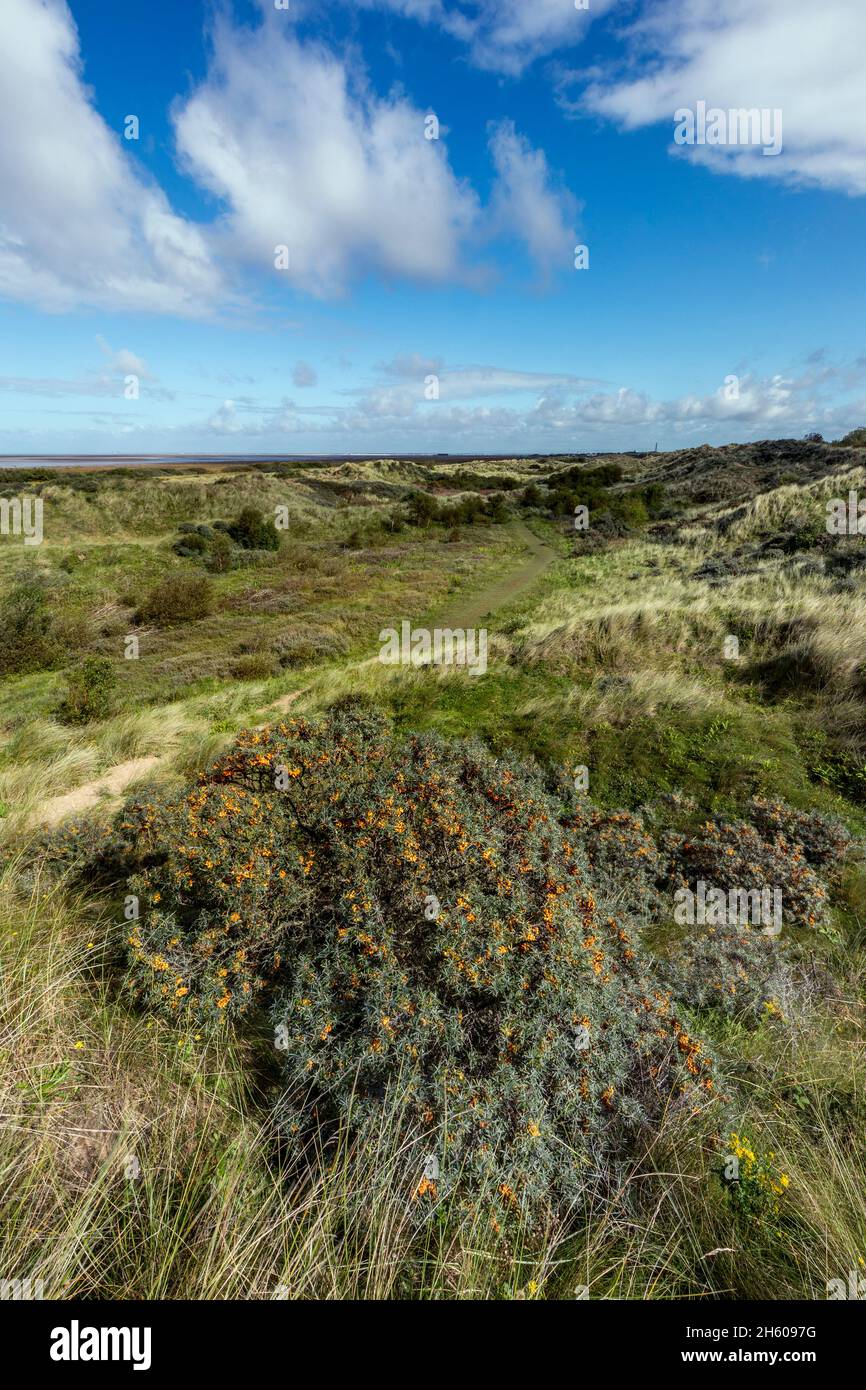 Birkdale southport hi-res stock photography and images - Alamy