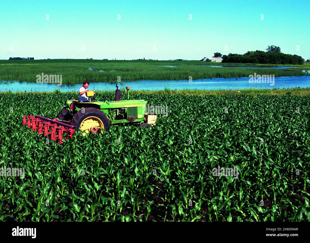 Cultivating corn near a restored wetland in Kossuth County in northern ...