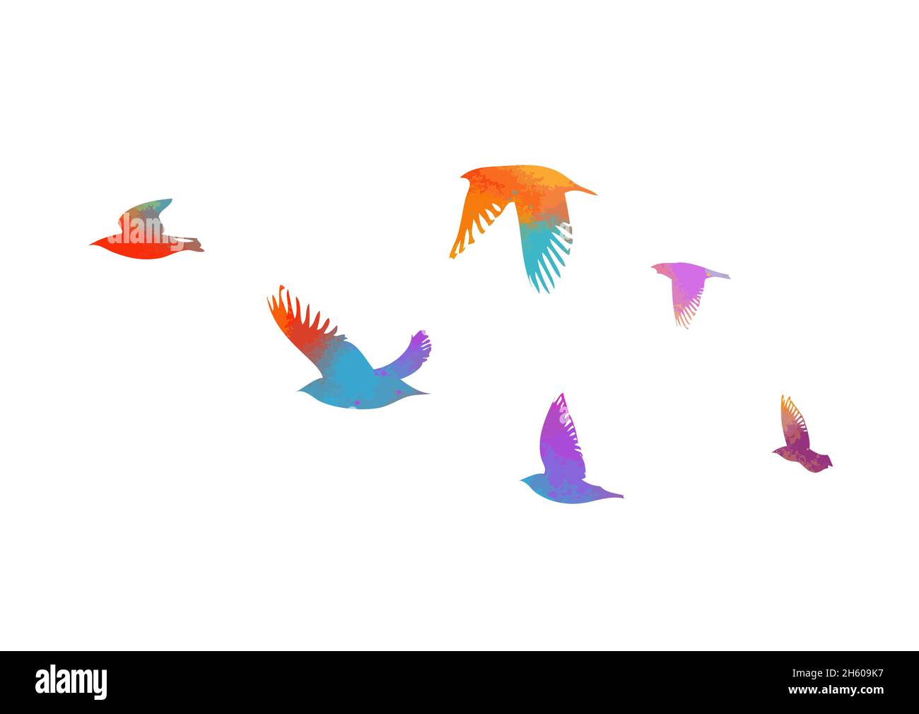 Colorful flying birds in the sky. Vector Stock Vector Image & Art - Alamy