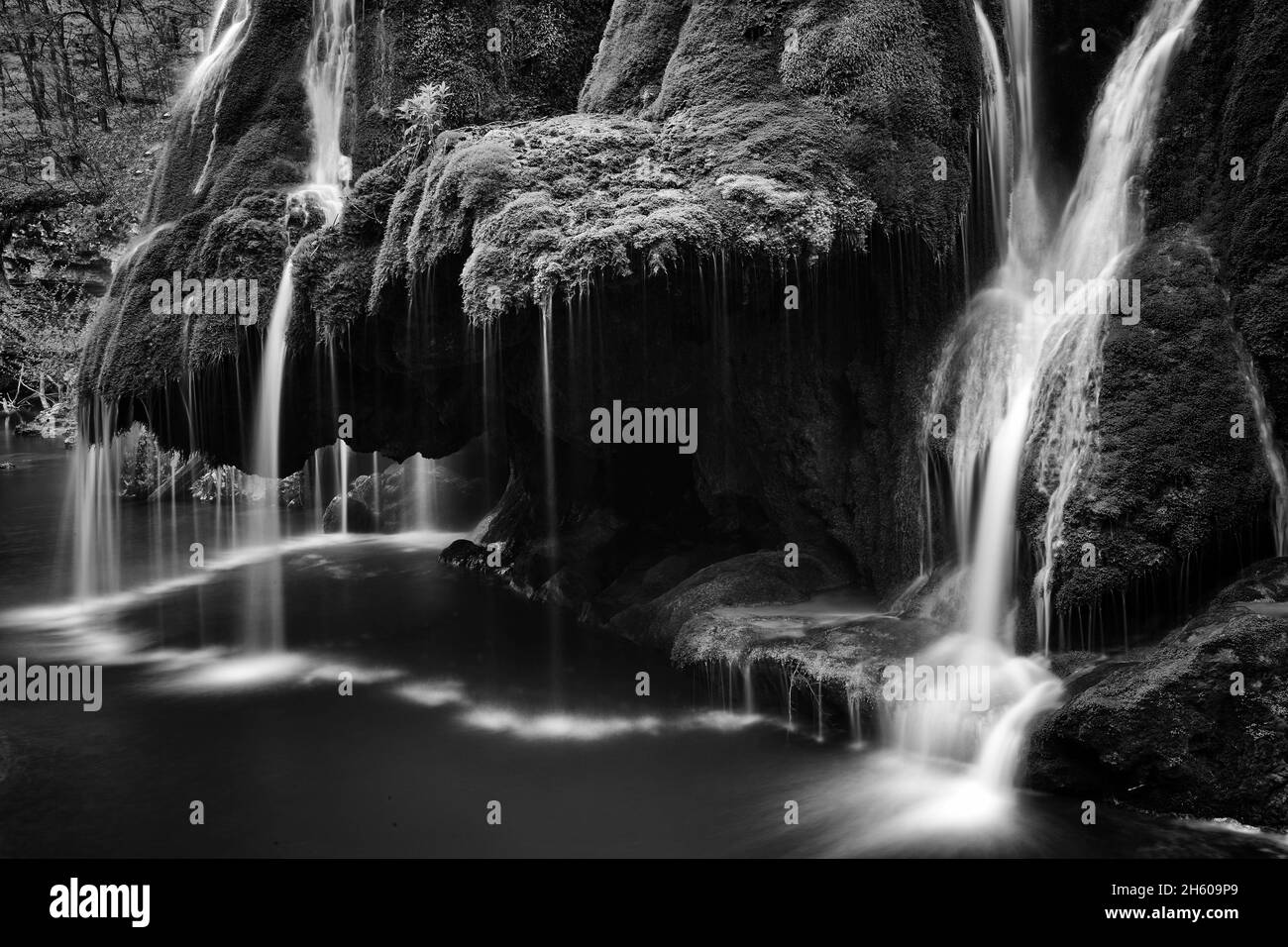 Fall autumn colors leave leaves tree trees Black and White Stock Photos ...