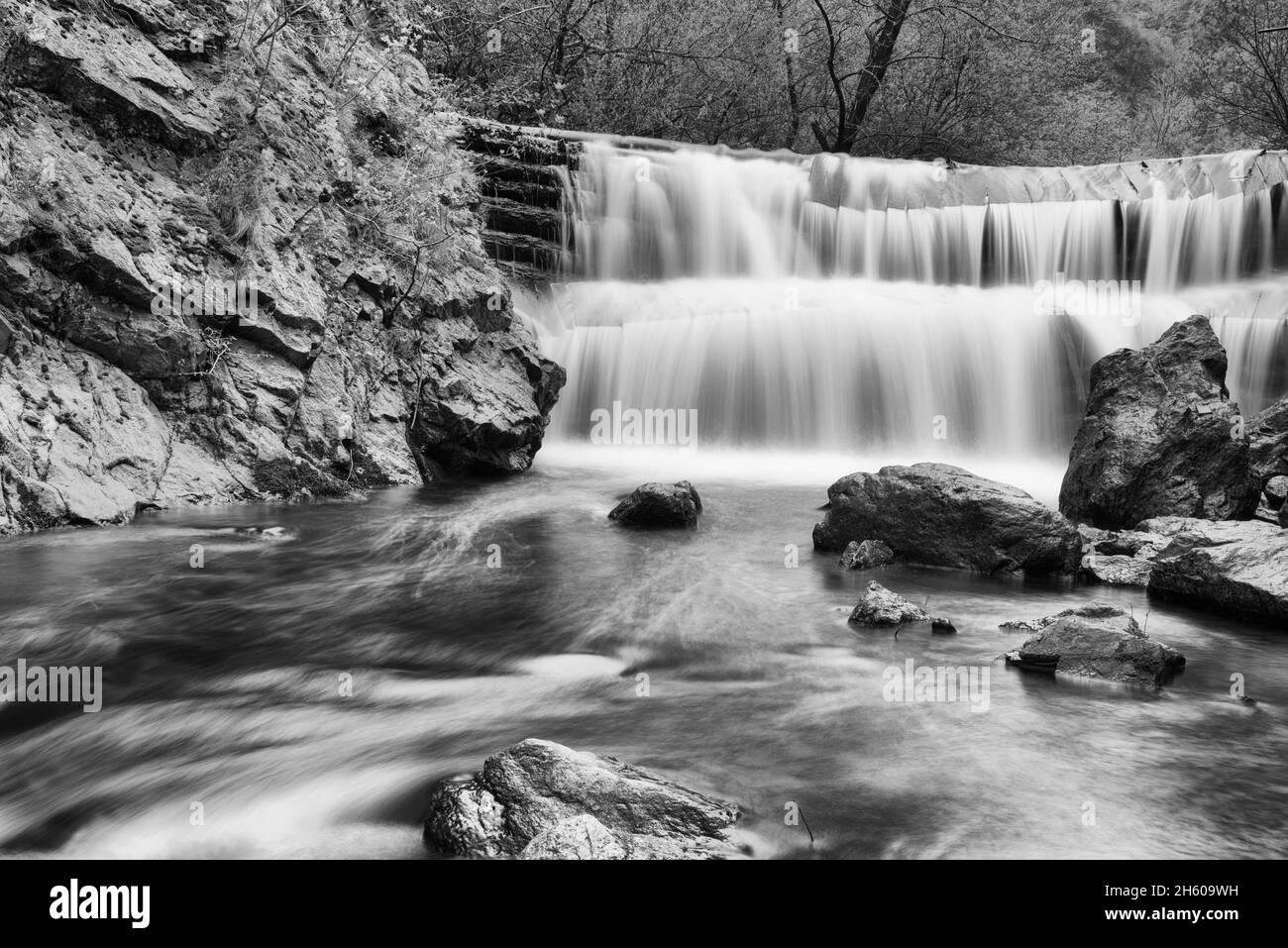 Fall autumn colors leave leaves tree trees Black and White Stock Photos ...