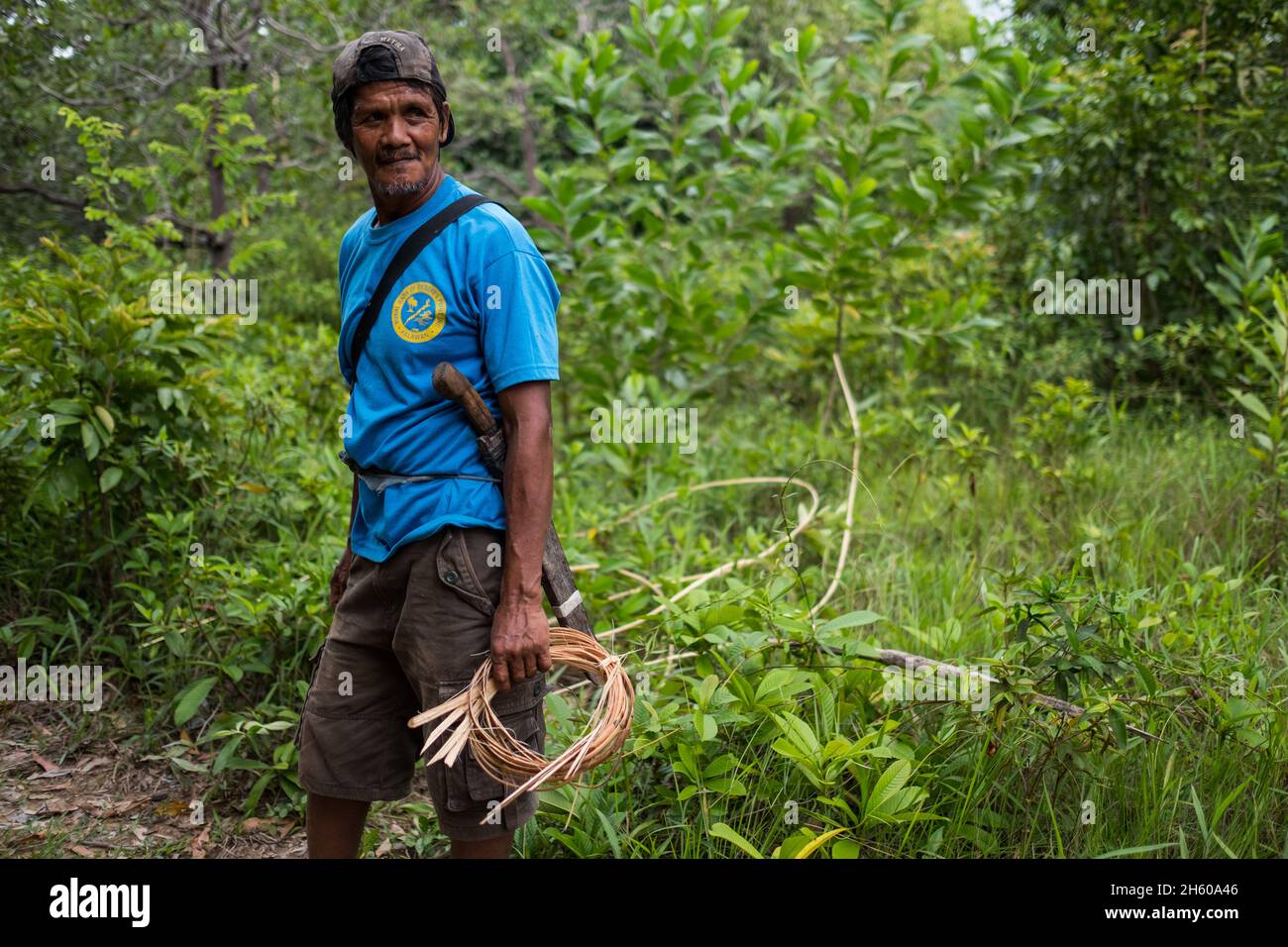 July 2017. Tilso Botig collecting and splitting ratan. Aborlan ...