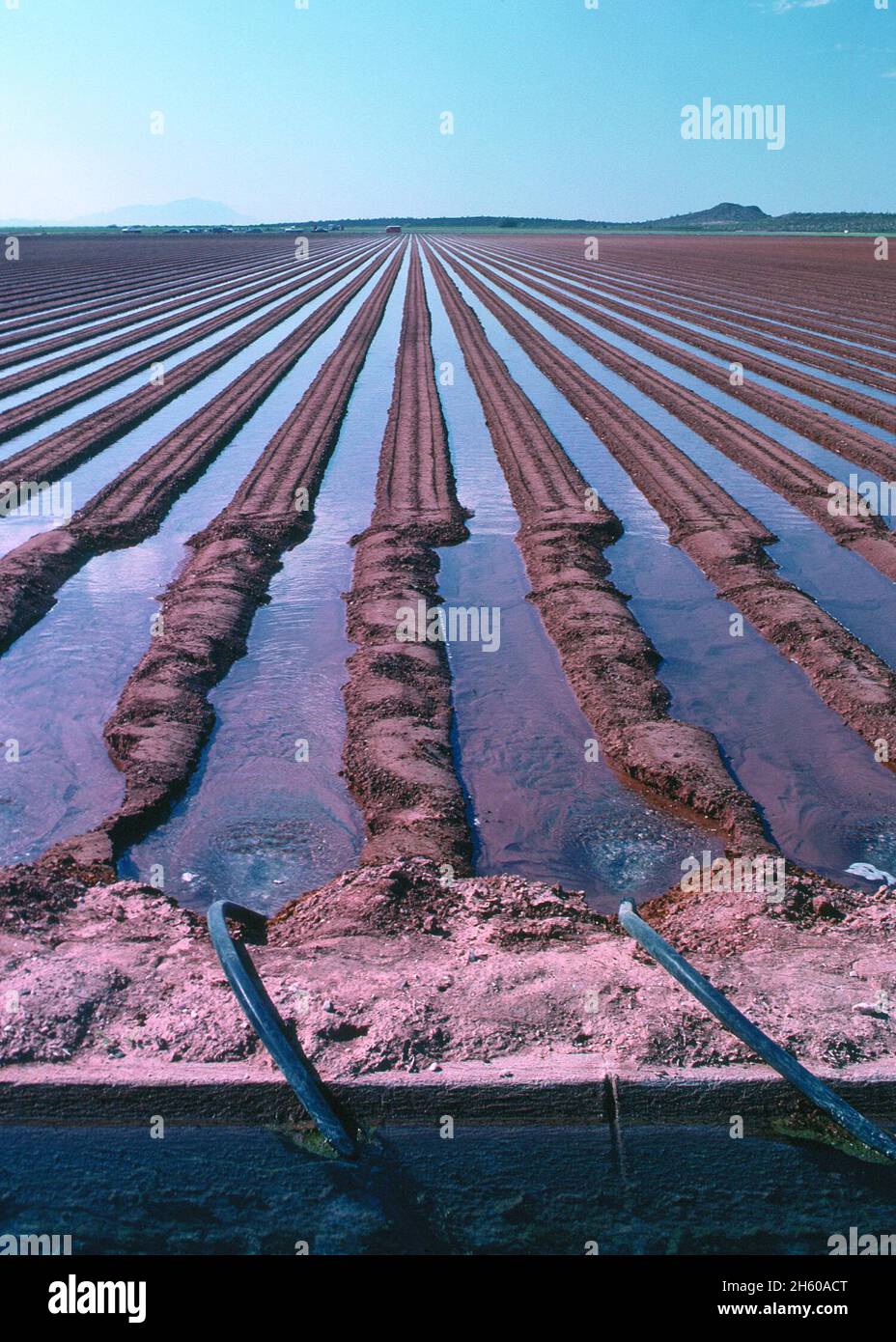 Irrigation land leveling hi-res stock photography and images - Alamy