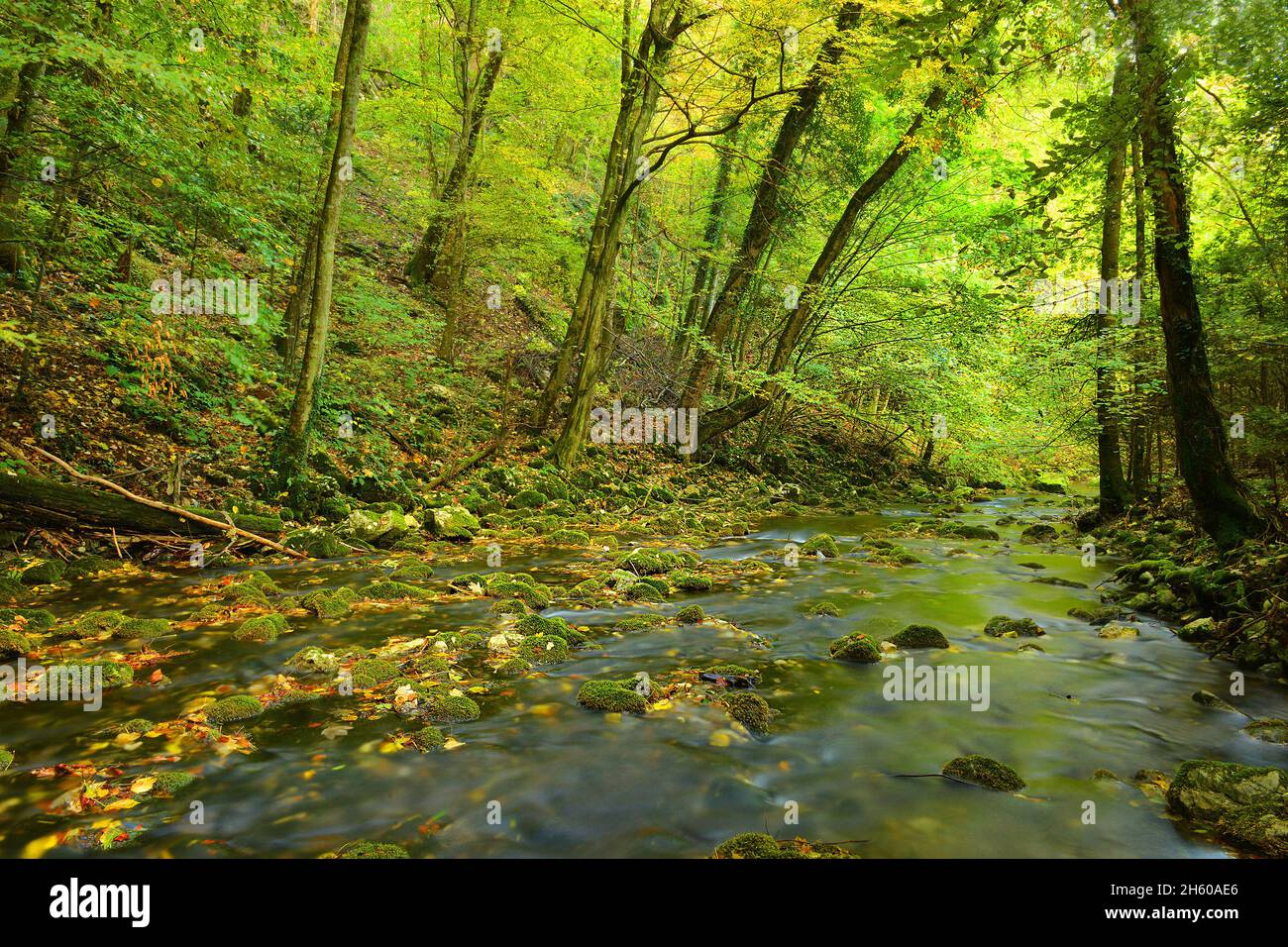 Cheile Nerei, waterfall, romania, water, autumn, fall, colors, river ...