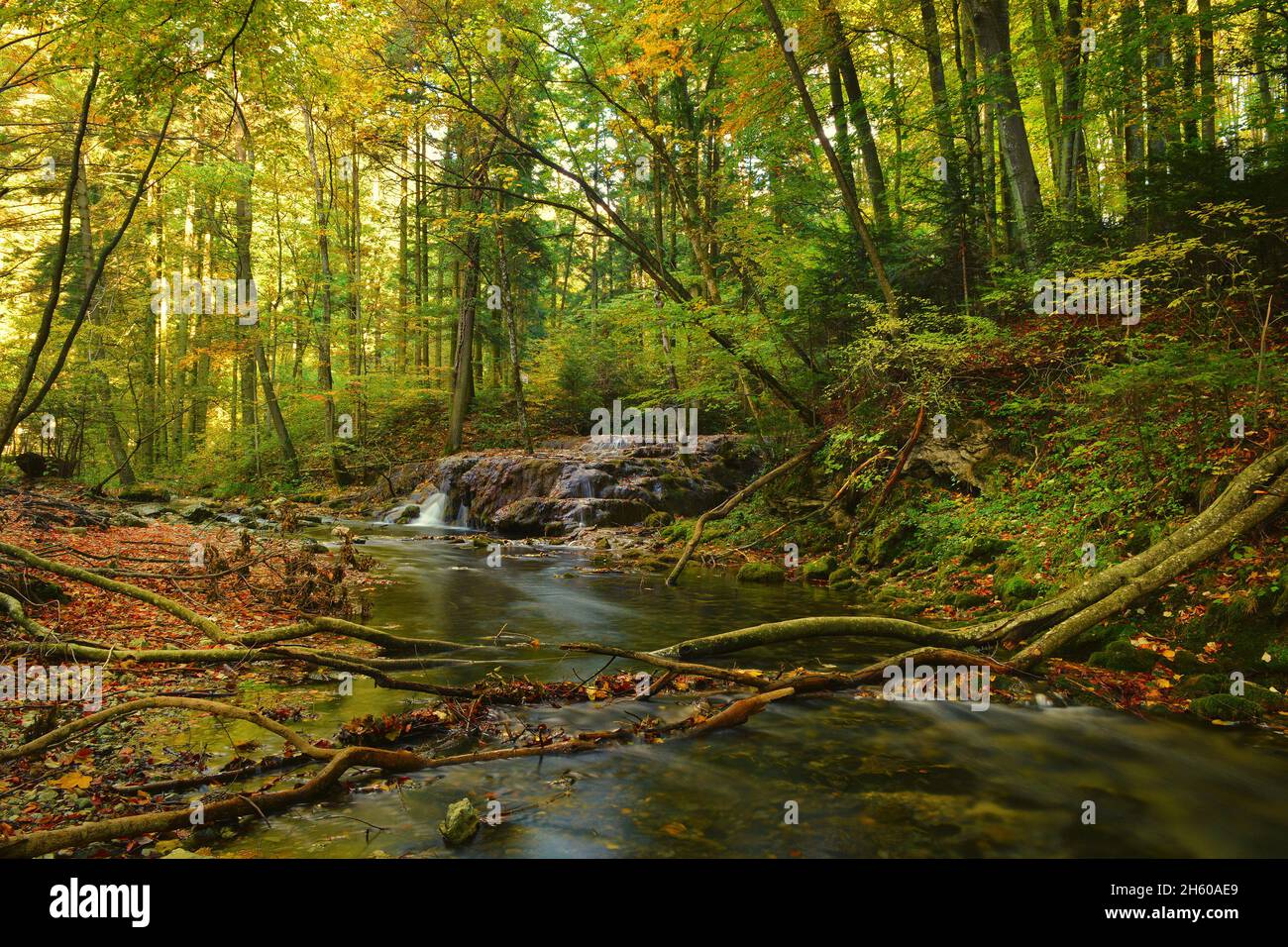 Cheile Nerei, waterfall, romania, water, autumn, fall, colors, river ...