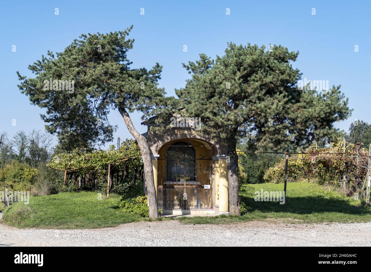 Village small building between two symmetrical trees with a background ...