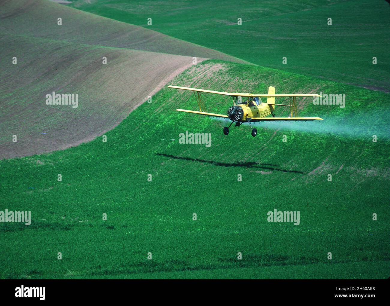 An aerial applicator flies across a wheat field in the Palouse region ...