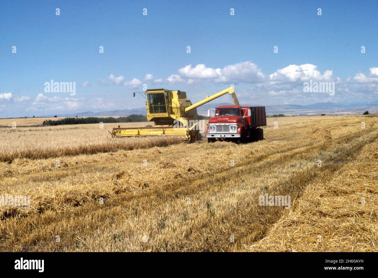 1980s combine harvesting hi-res stock photography and images - Alamy