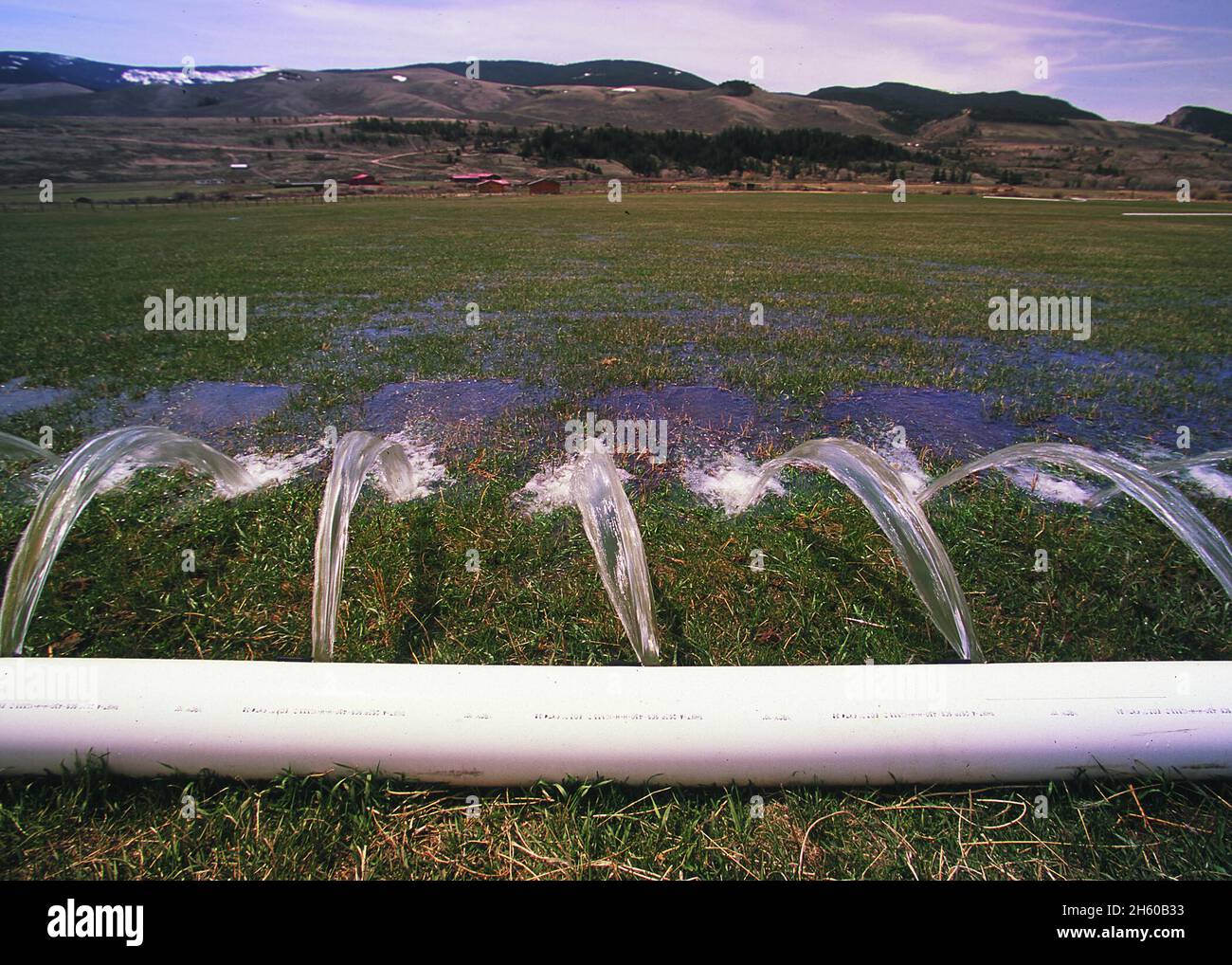 Gated pipe irrigation on mountain meadows, Fremont County, Wyoming ca ...