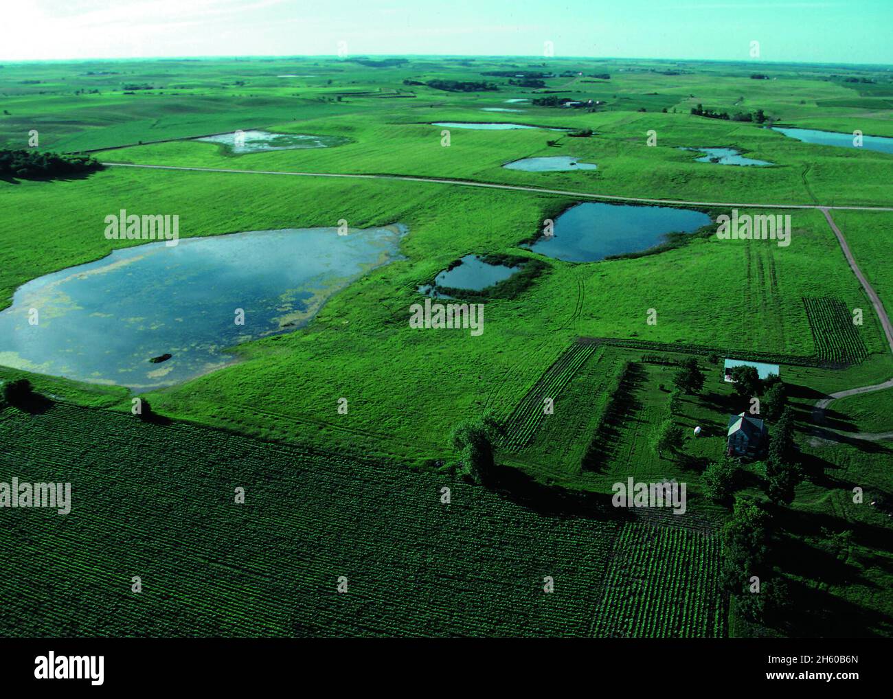 Crp land hi-res stock photography and images - Alamy